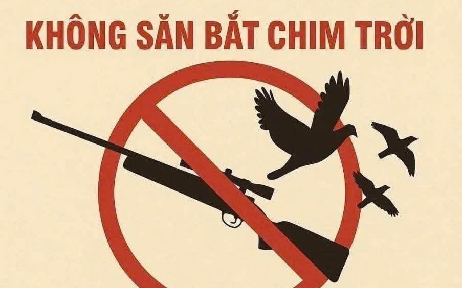 Không săn bắt chim trời – Nói không với kích điện khai thác thủy sản ...